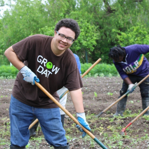 HOME - Rex Foundation